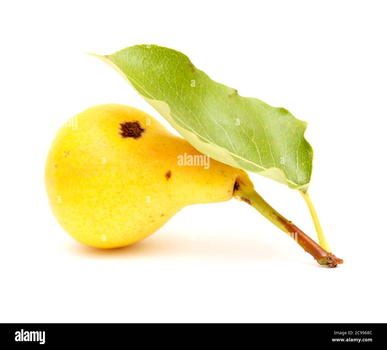 small wild yellow pear isolated on white background Stock Photo - Alamy