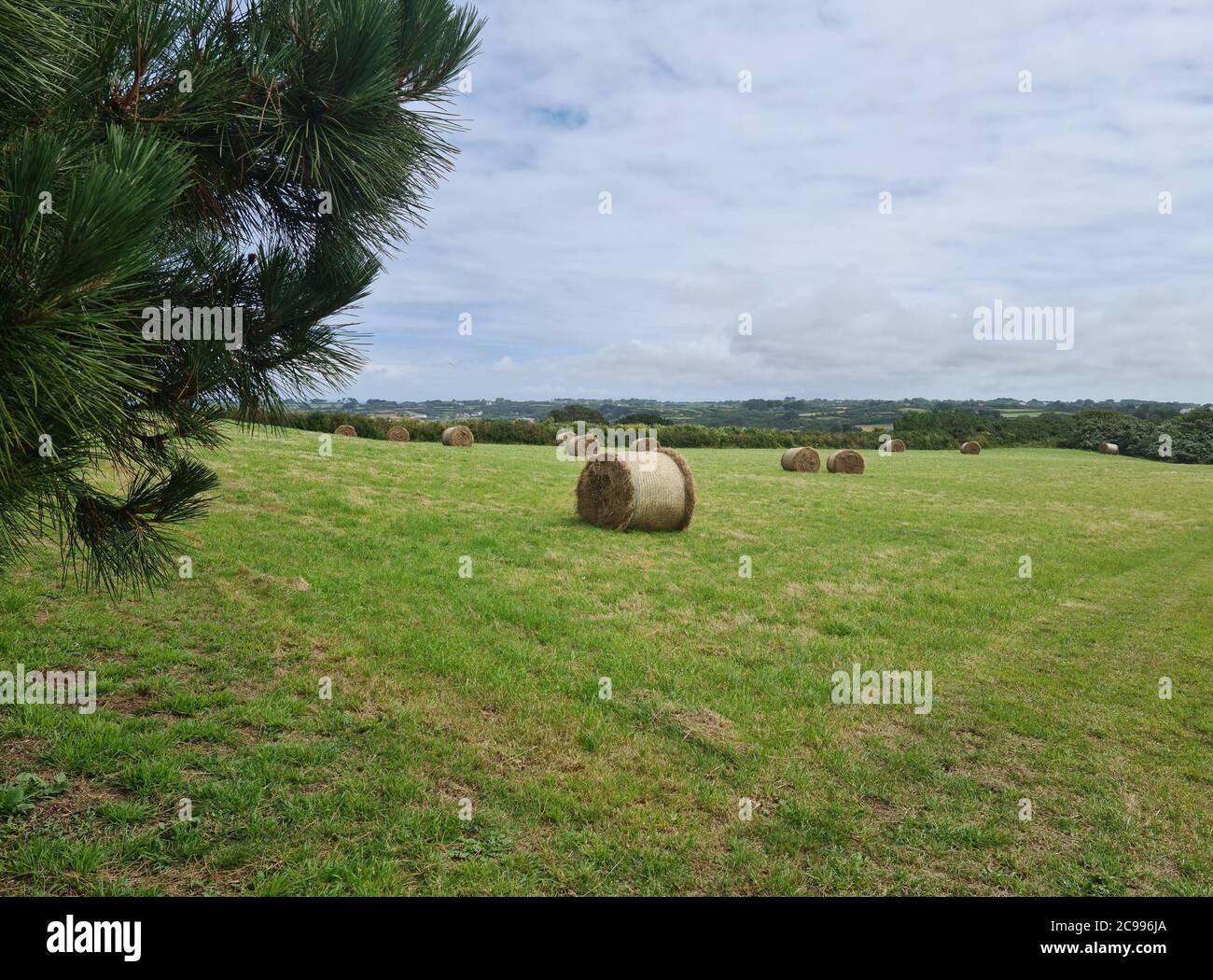 Torteval Feilds, Guernsey Channel Islands Stock Photo - Alamy