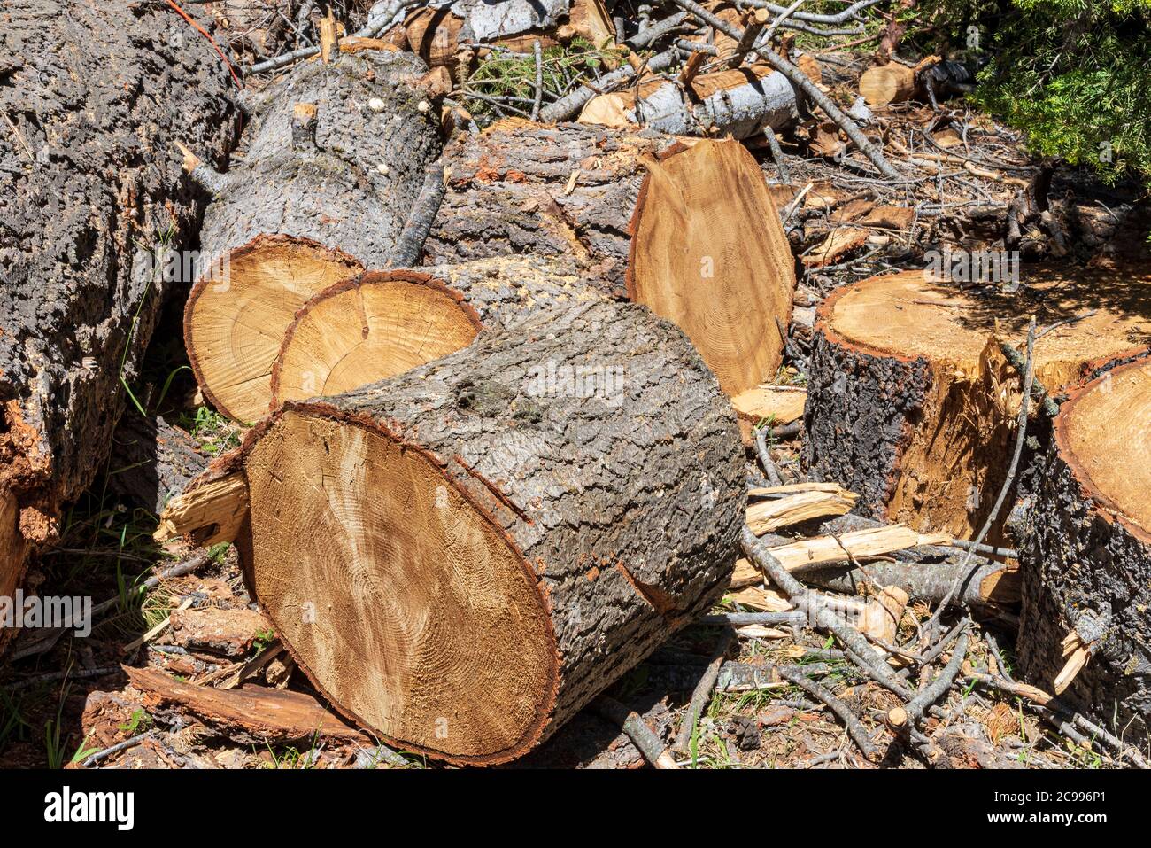 Fule for fire hi-res stock photography and images - Alamy