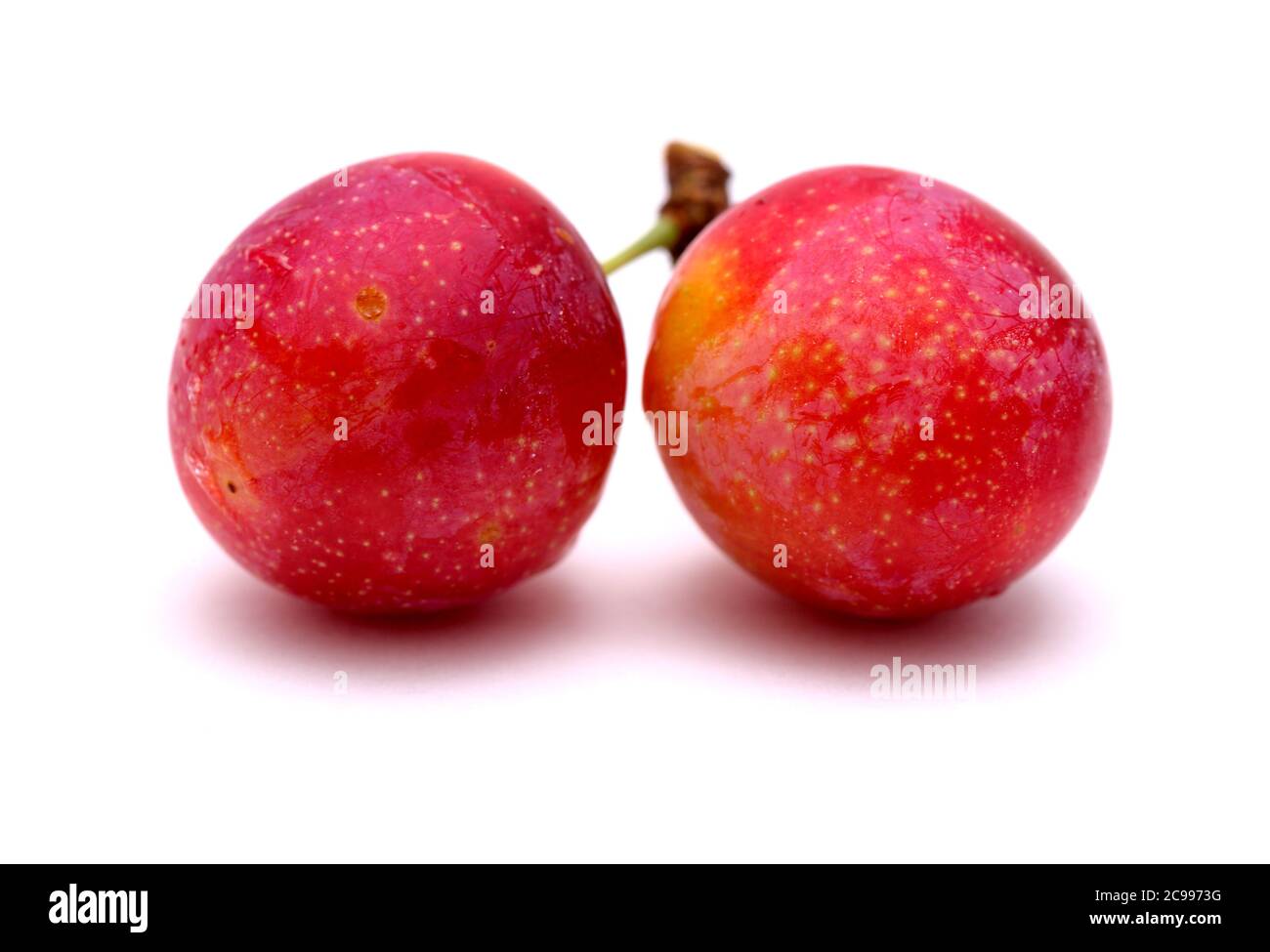 Small cherry plums, isolated on white background Stock Photo - Alamy