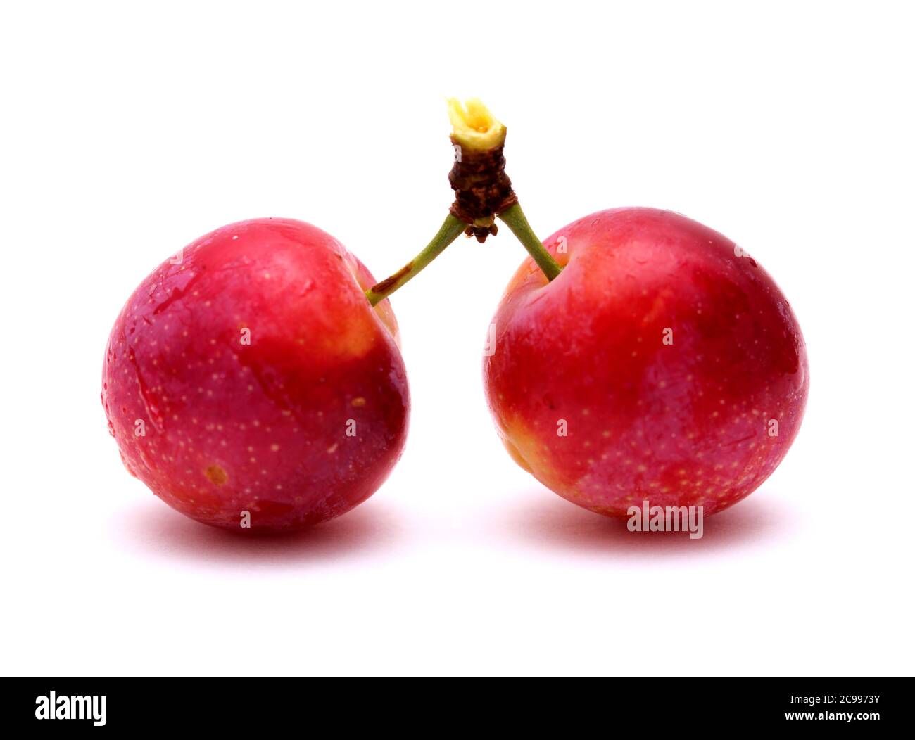 Small cherry plums, isolated on white background Stock Photo - Alamy