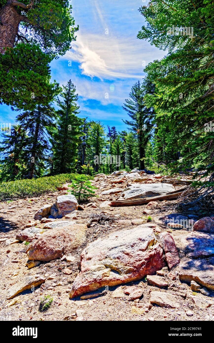 Hiking trail through rocky hi-res stock photography and images - Alamy