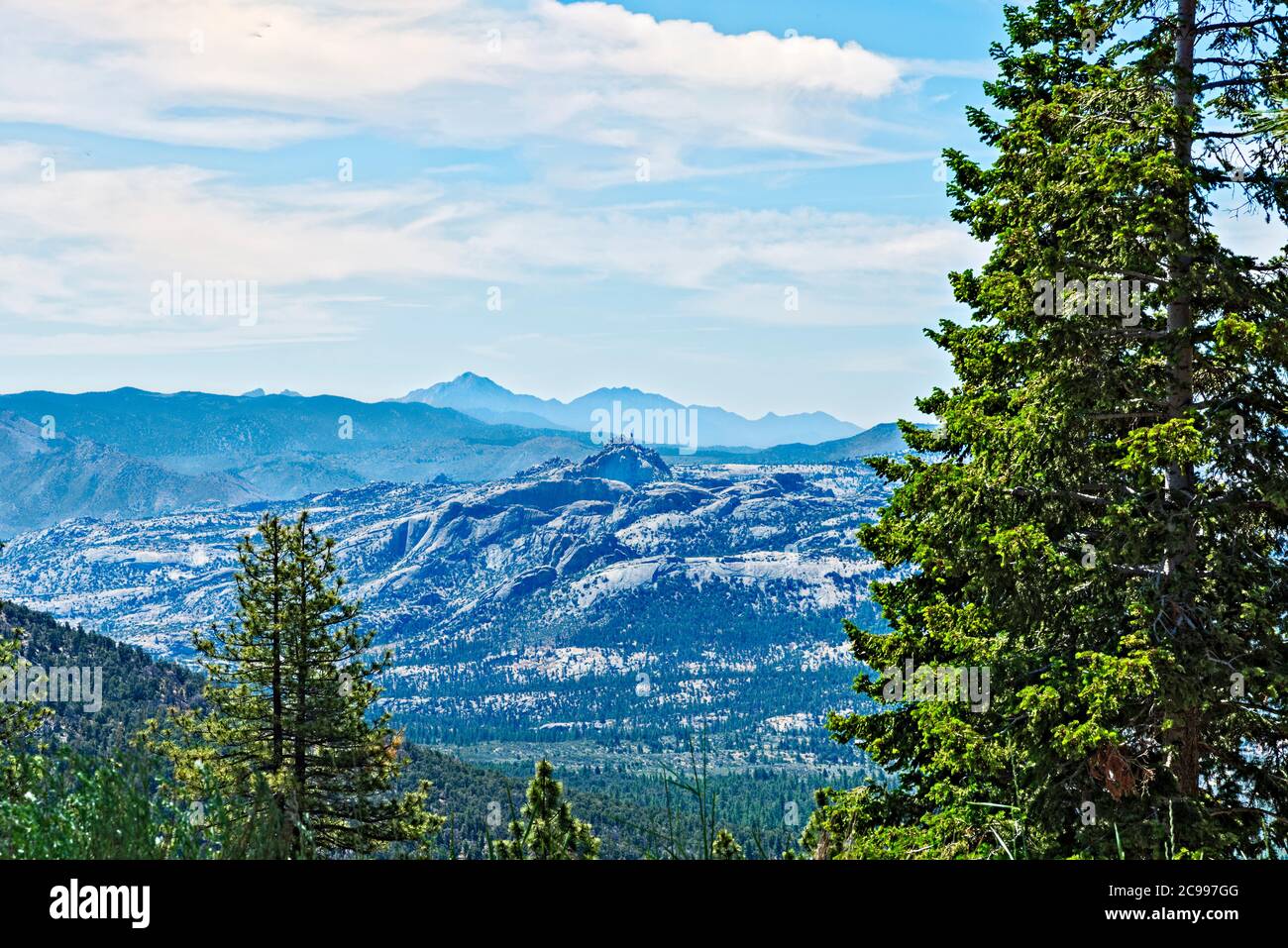 Looking out across pine trees and the forest covered hills below under ...