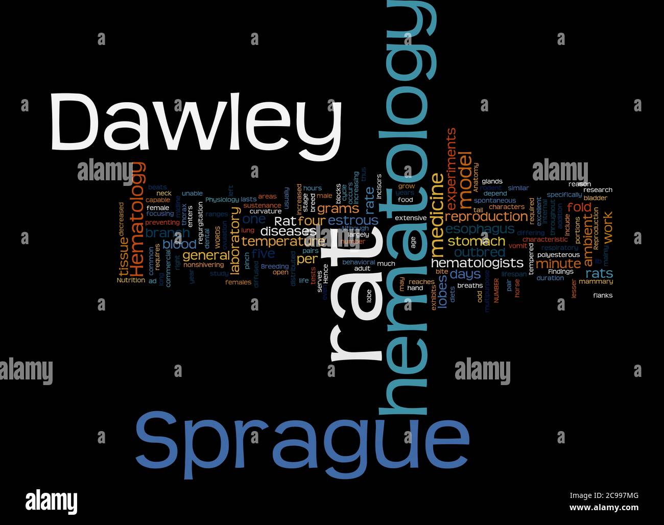Sprague Dawley Rat High Resolution Stock Photography and Images - Alamy