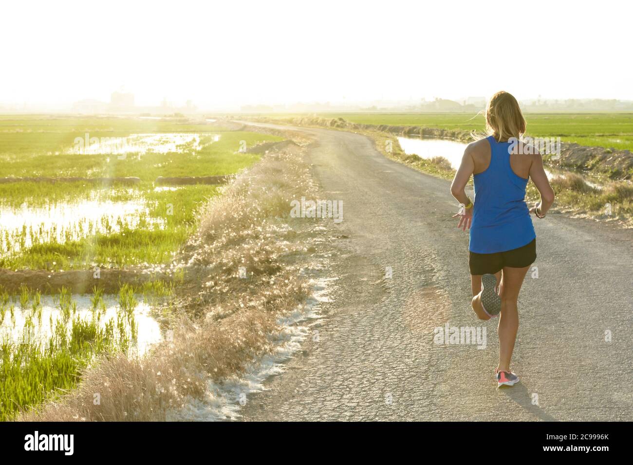 Running In Rice Field In High Resolution Stock Photography and Images ...