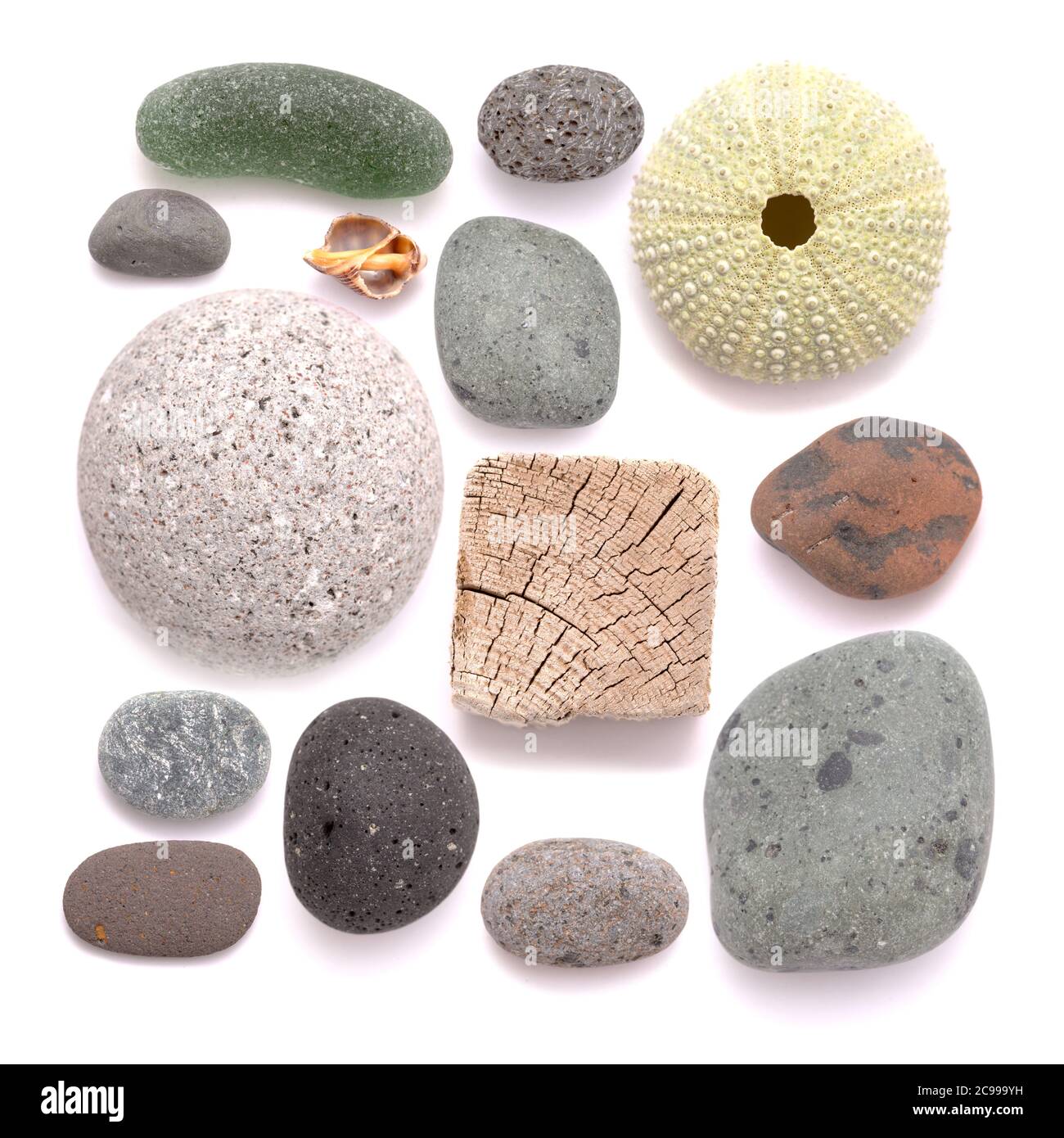 Beach findings isolated on white background Stock Photo - Alamy