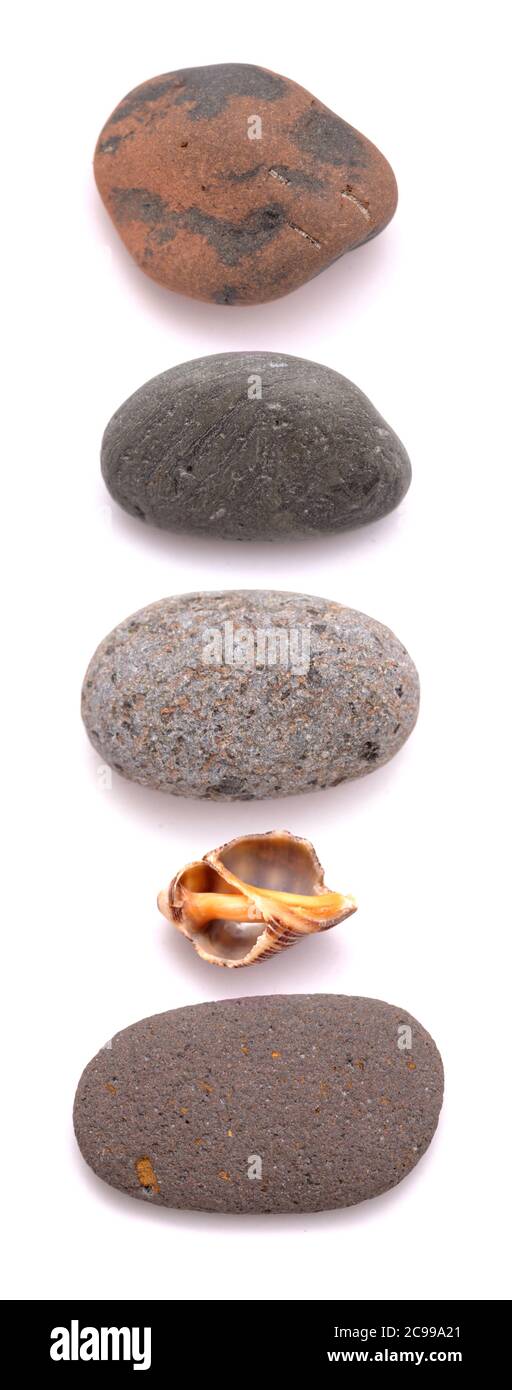 Beach findings isolated on white background Stock Photo - Alamy