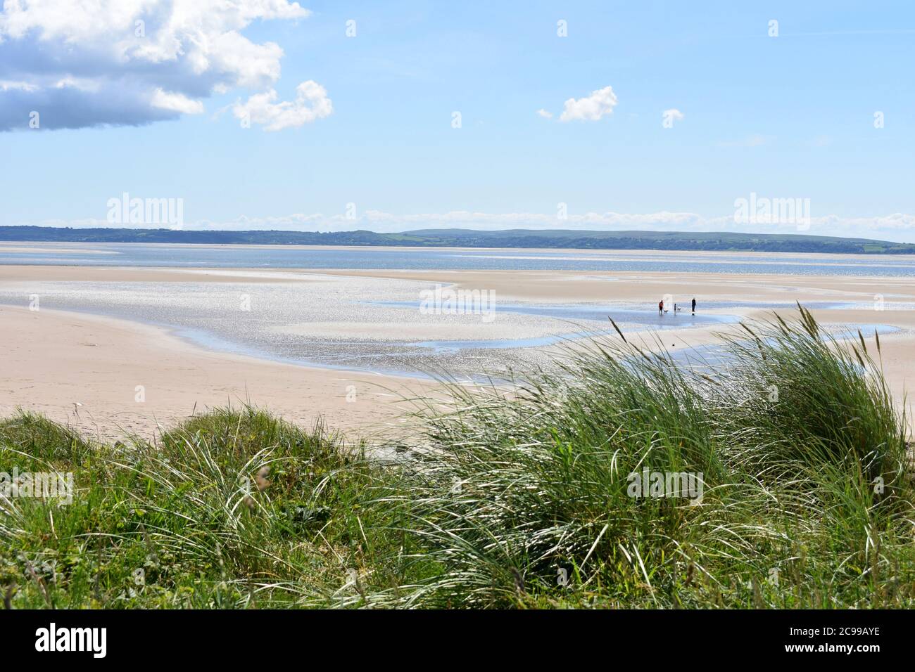 View across Burry Port beach east at low tide towards the Gower ...