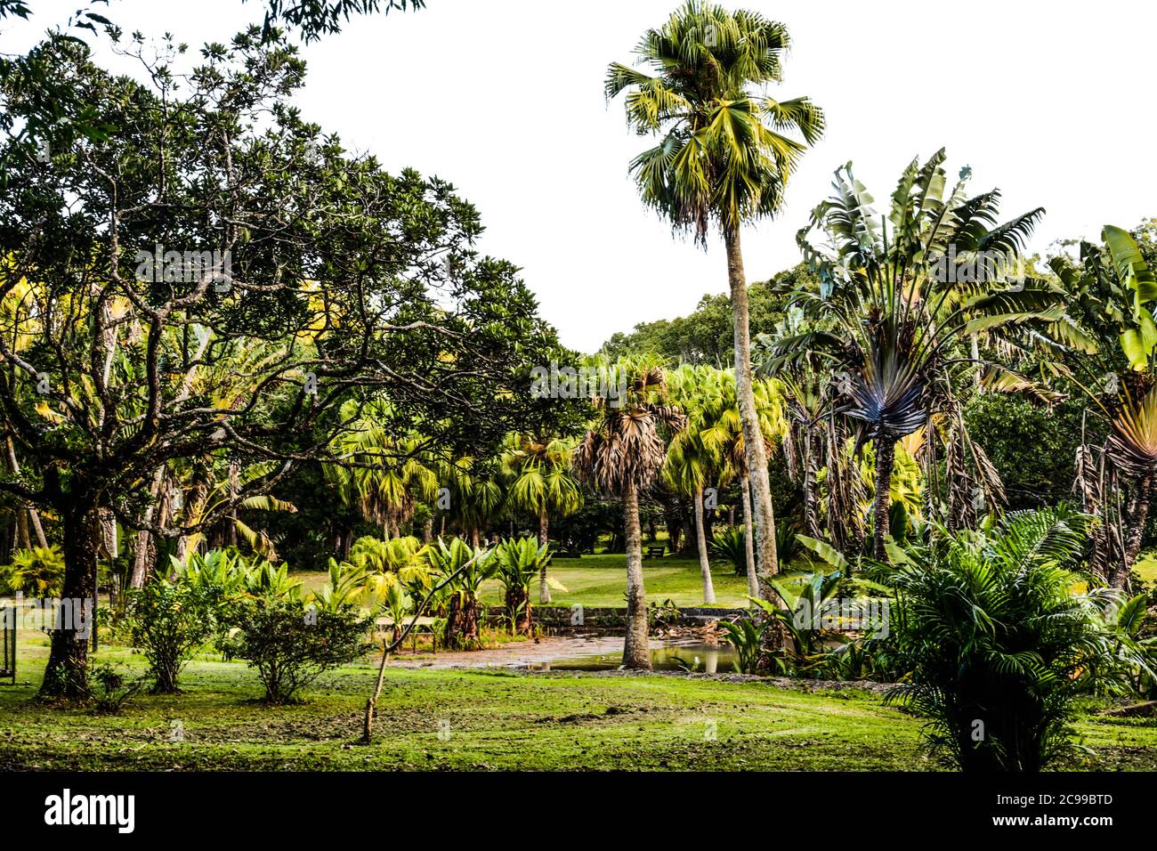 Ssr botanical garden of curepipe hi-res stock photography and images ...