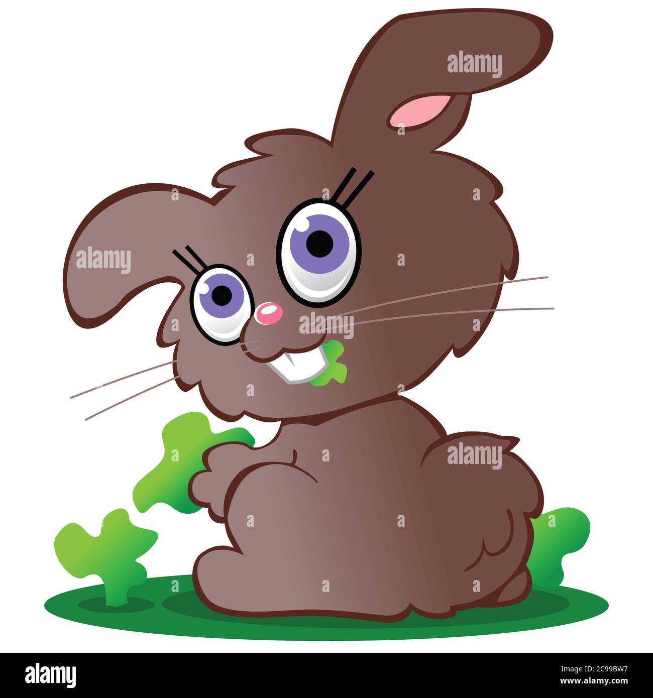 A cute little brown bunny rabbit with lavender eyes eating greens Stock ...