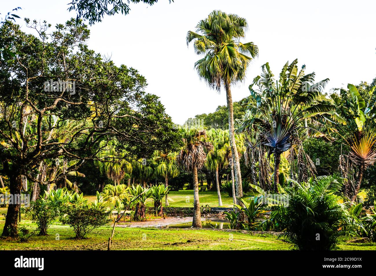 Curepipe Botanic Gardens (or SSR Botanical Garden of Curepipe) in Route ...