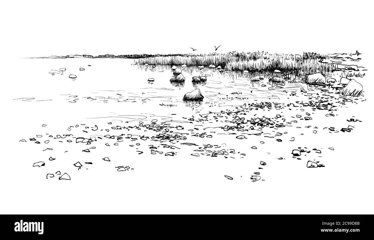 Seascape sketch drawing. Hand drawn coast, stones, water Stock Photo ...