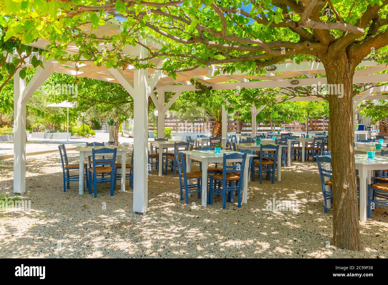 Canopy of trees hi-res stock photography and images - Alamy