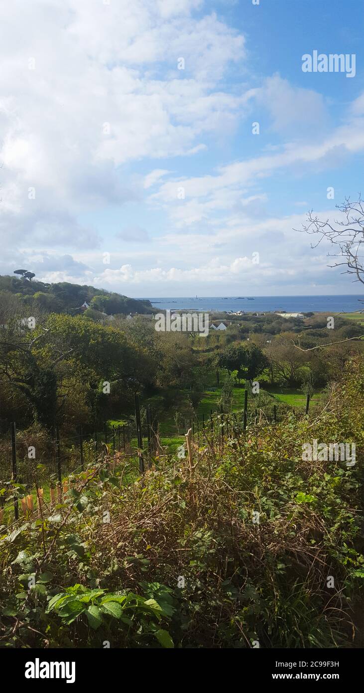 Torteval Fields, Guernsey Channel Islands Stock Photo - Alamy