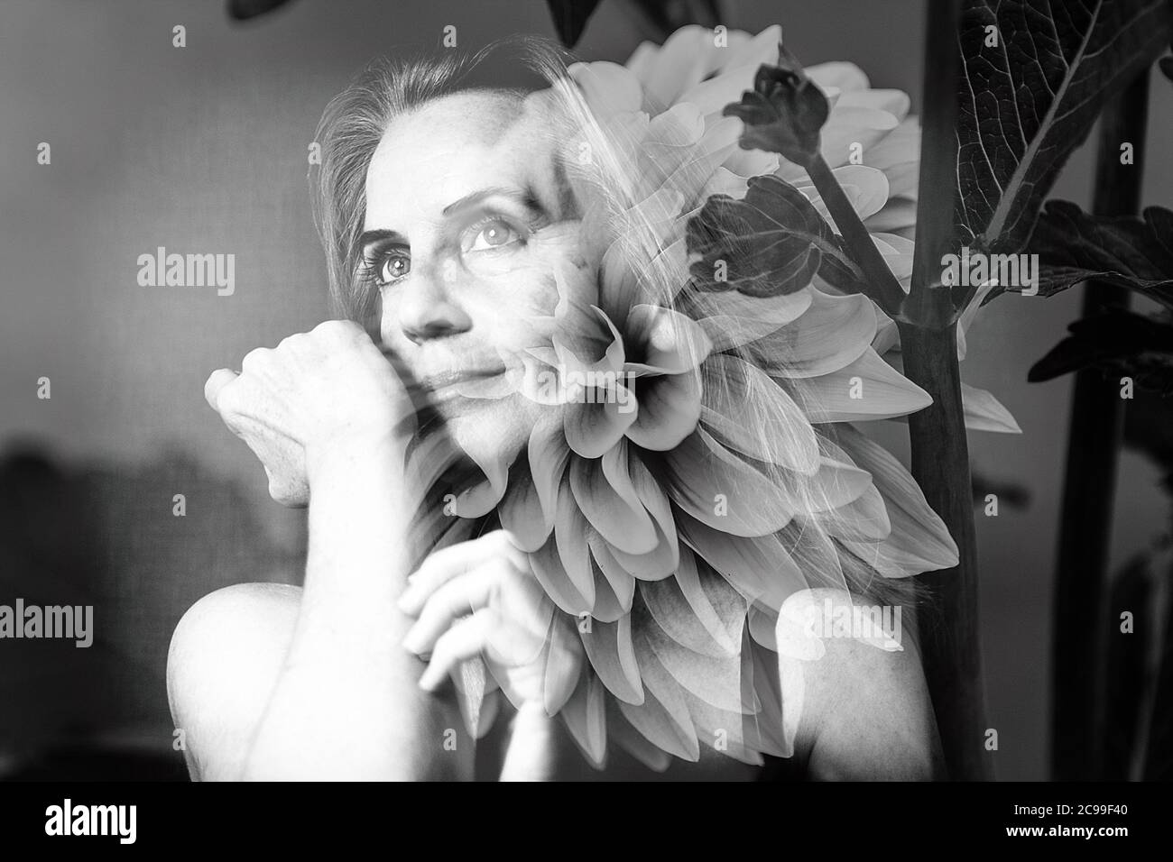 woman and nature fused Stock Photo - Alamy