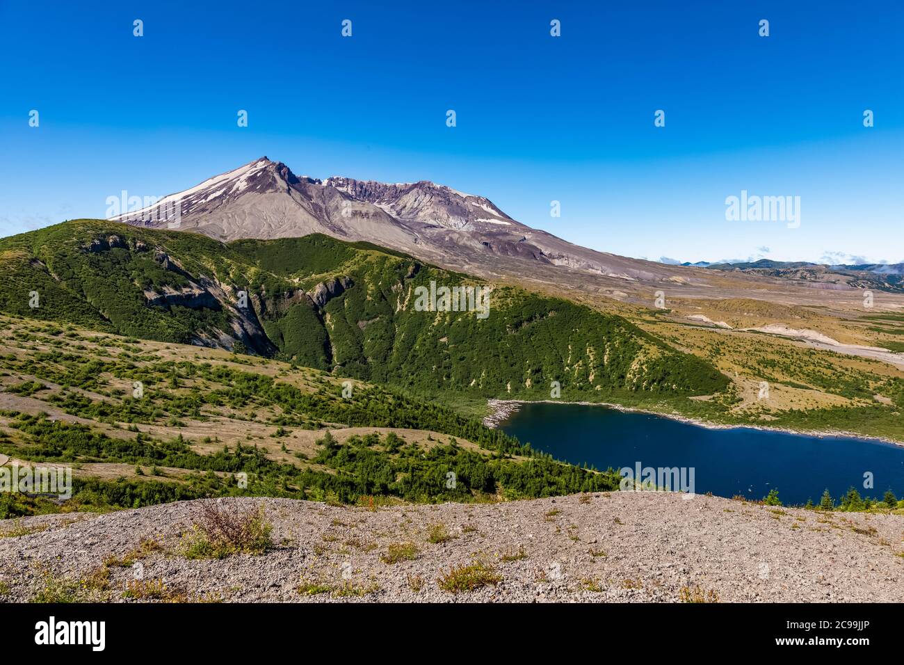 Spirit Lake with floating logs, 40 years after the blast, in Mount St ...