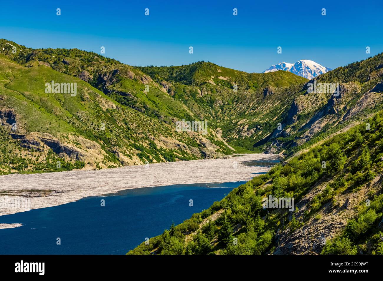 Spirit Lake with floating logs, 40 years after the blast, with Mount ...