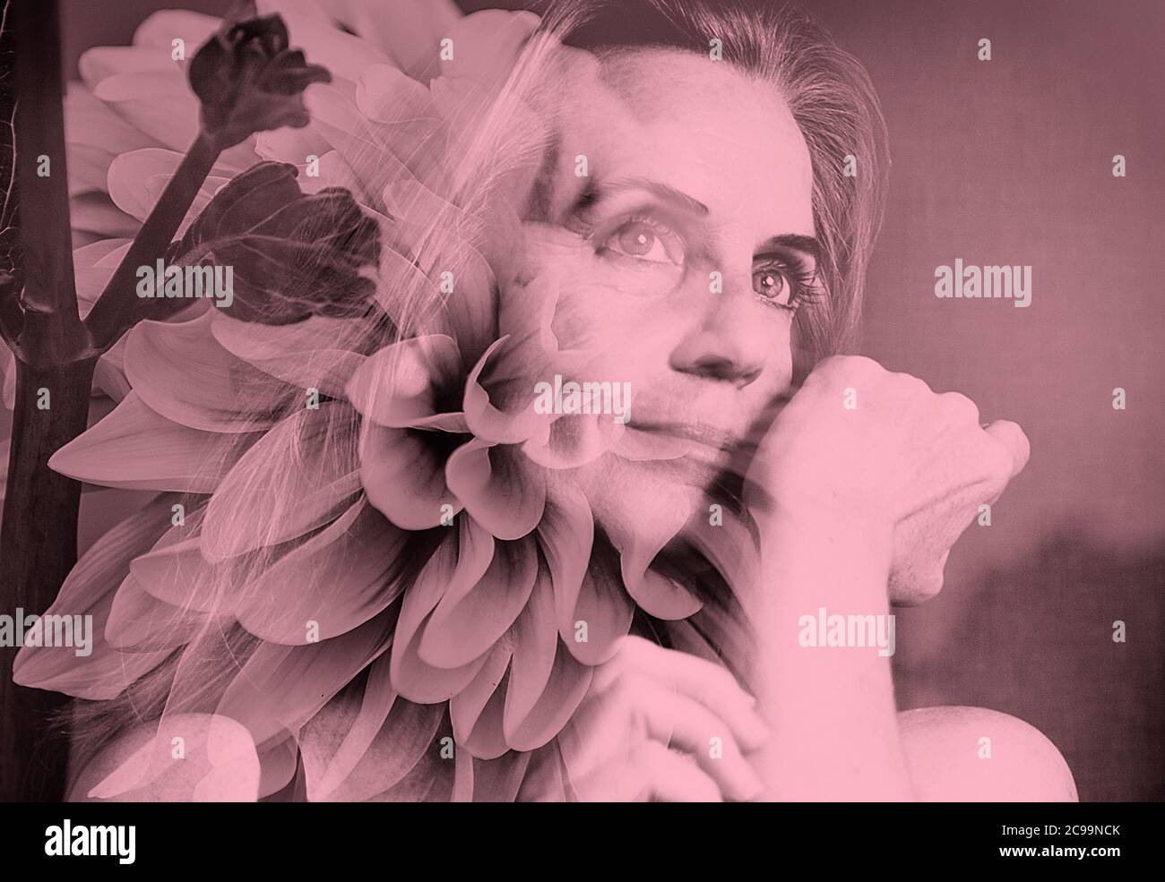 woman and nature fused on pink background Stock Photo - Alamy