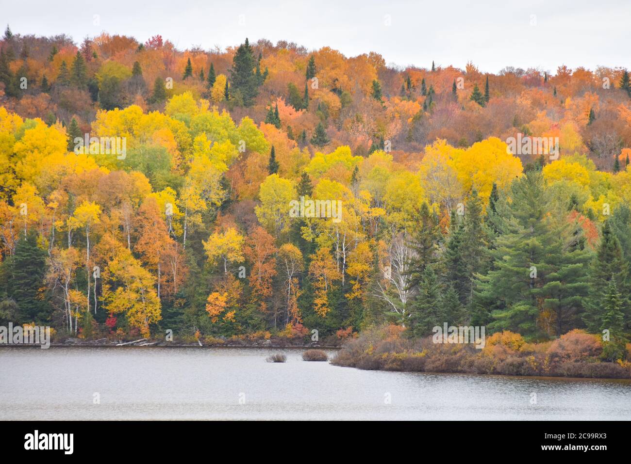 Fall season colors and Lake, Quebec Canada Stock Photo - Alamy