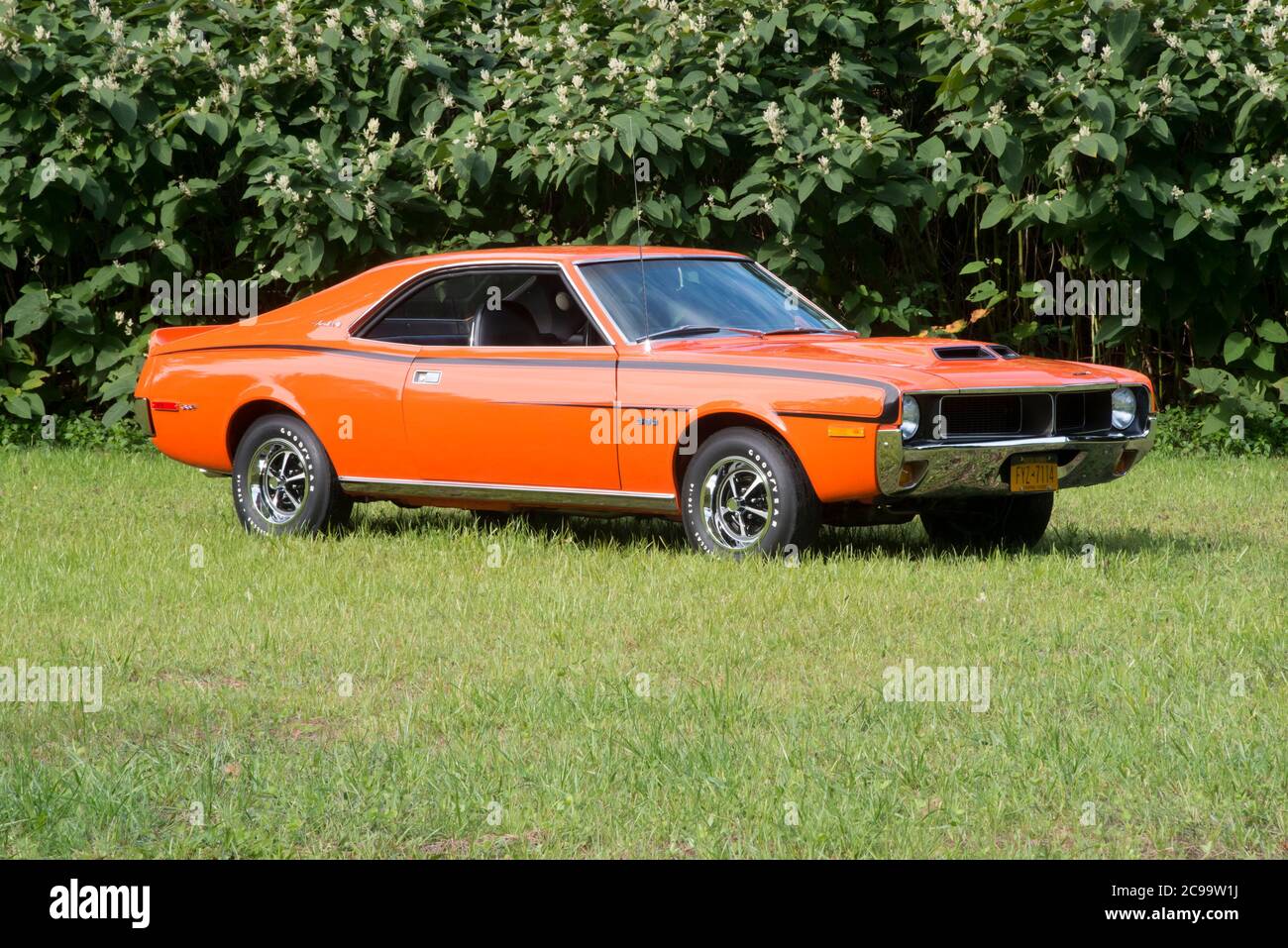 70 javelin sst hi-res stock photography and images - Alamy