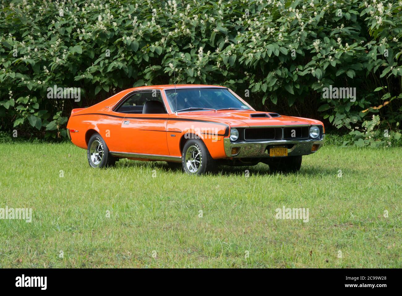 70 javelin sst hi-res stock photography and images - Alamy