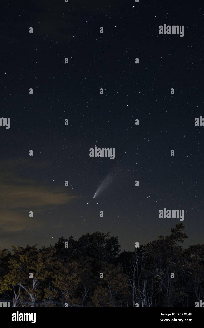 Vertical shot of a shooting star on a starry night sky above a park ...