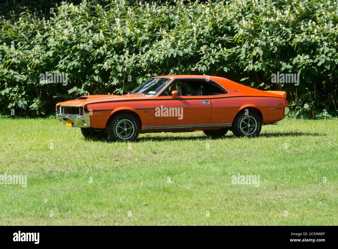 70 javelin sst hi-res stock photography and images - Alamy