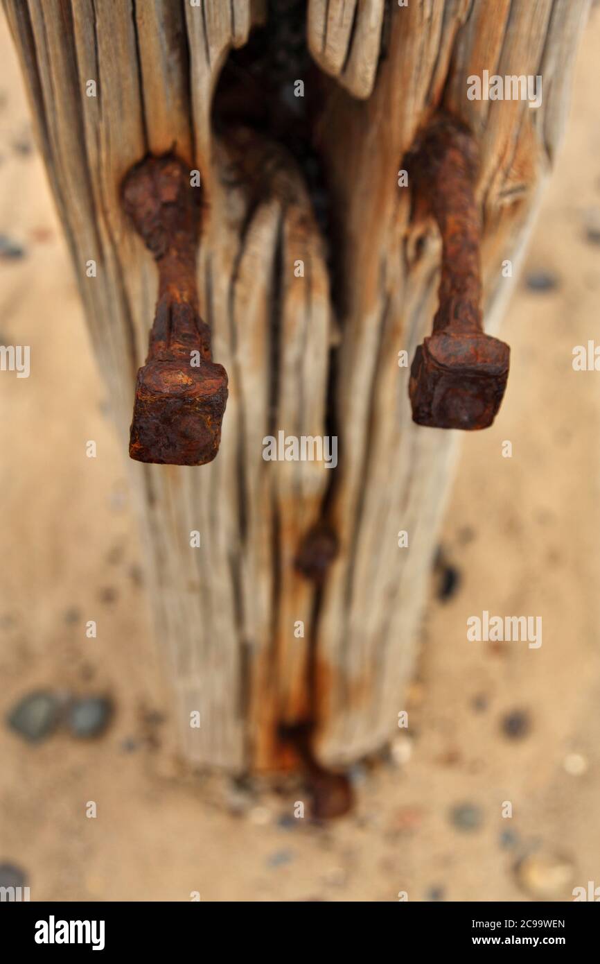 Timber sea defences at Spurn Point, near Kilnsea, East Yorkshire, UK ...