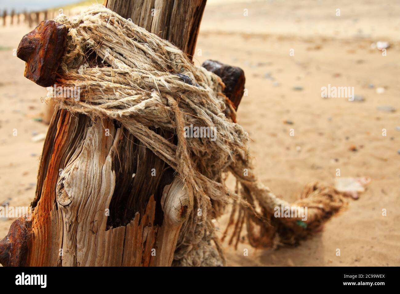 Timber sea defences and rope washed ashore at Spurn Point, near Kilnsea ...