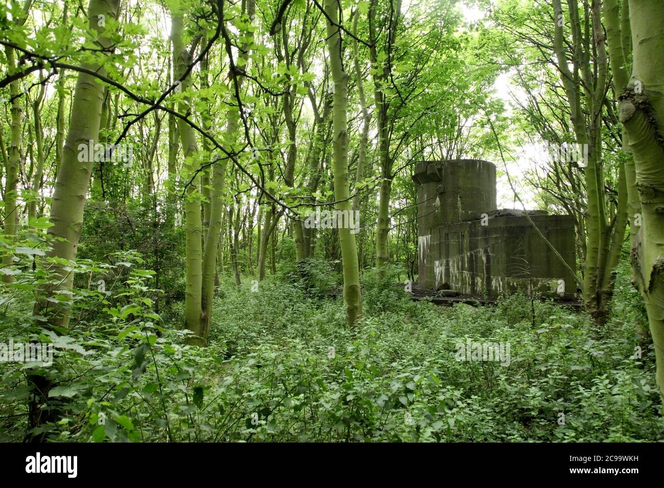 The ruined remains of the World War 1 Sunk Island defensive gun battery ...