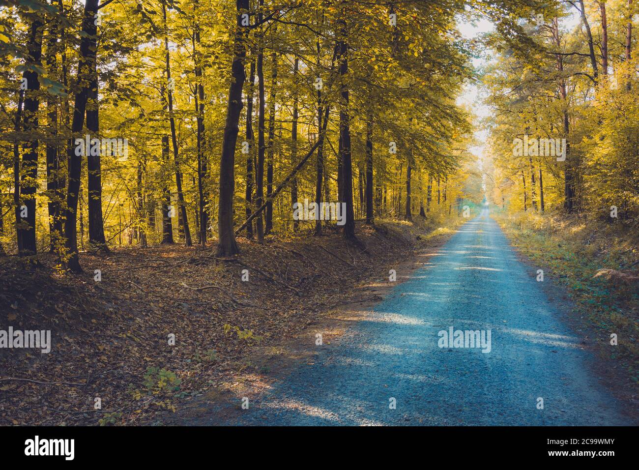 Golden gravel hi-res stock photography and images - Alamy