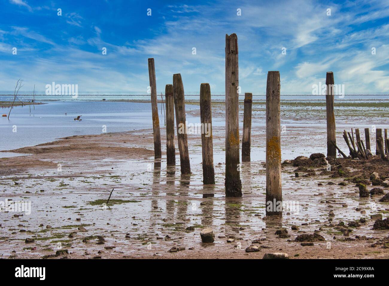 Old Wood Pier Piling High Resolution Stock Photography and Images - Alamy