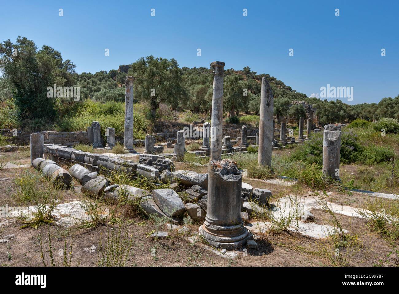 Iasos Greek city in Milas district of Mugla Province in Turkey Stock ...