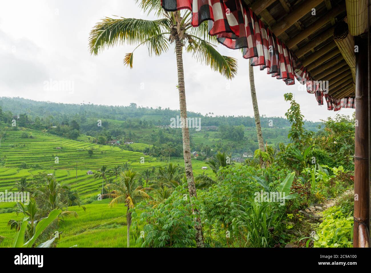 Rice paddies at Bali Stock Photo - Alamy