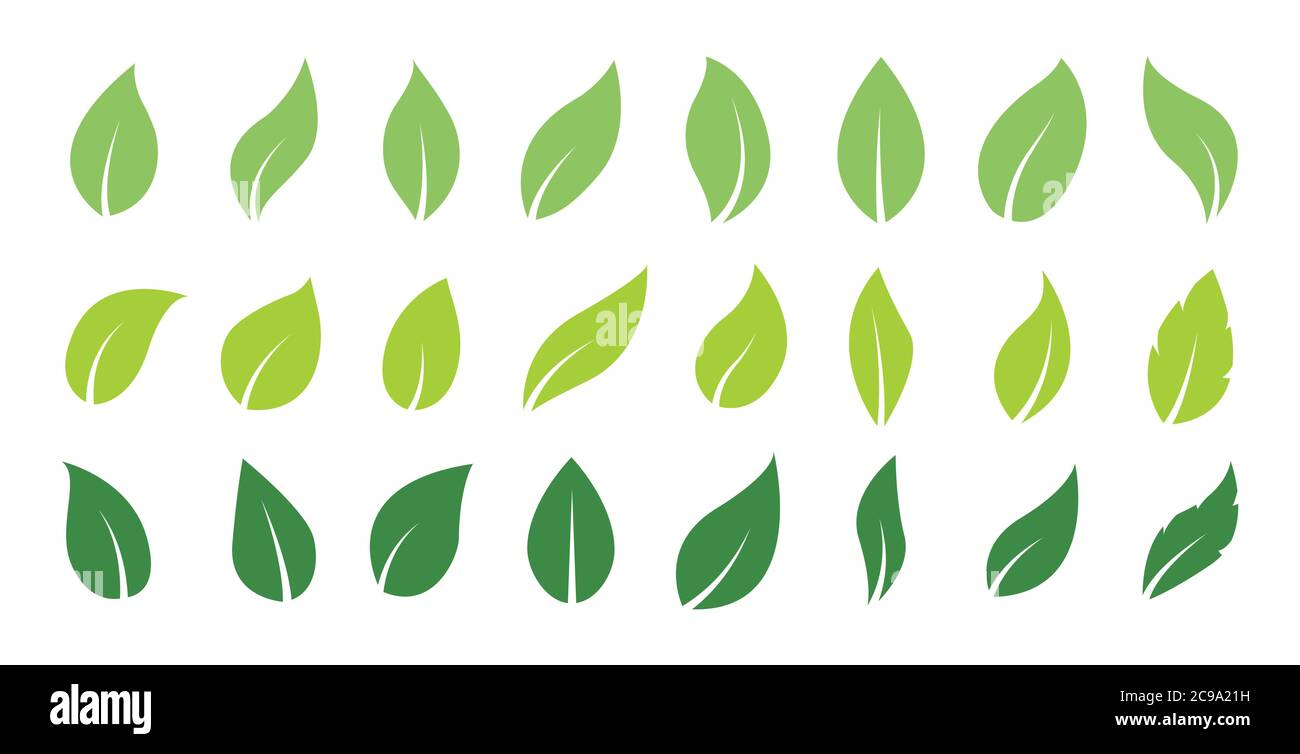 Green abstract leaf icons. Natural greens young plants pictograms and ...