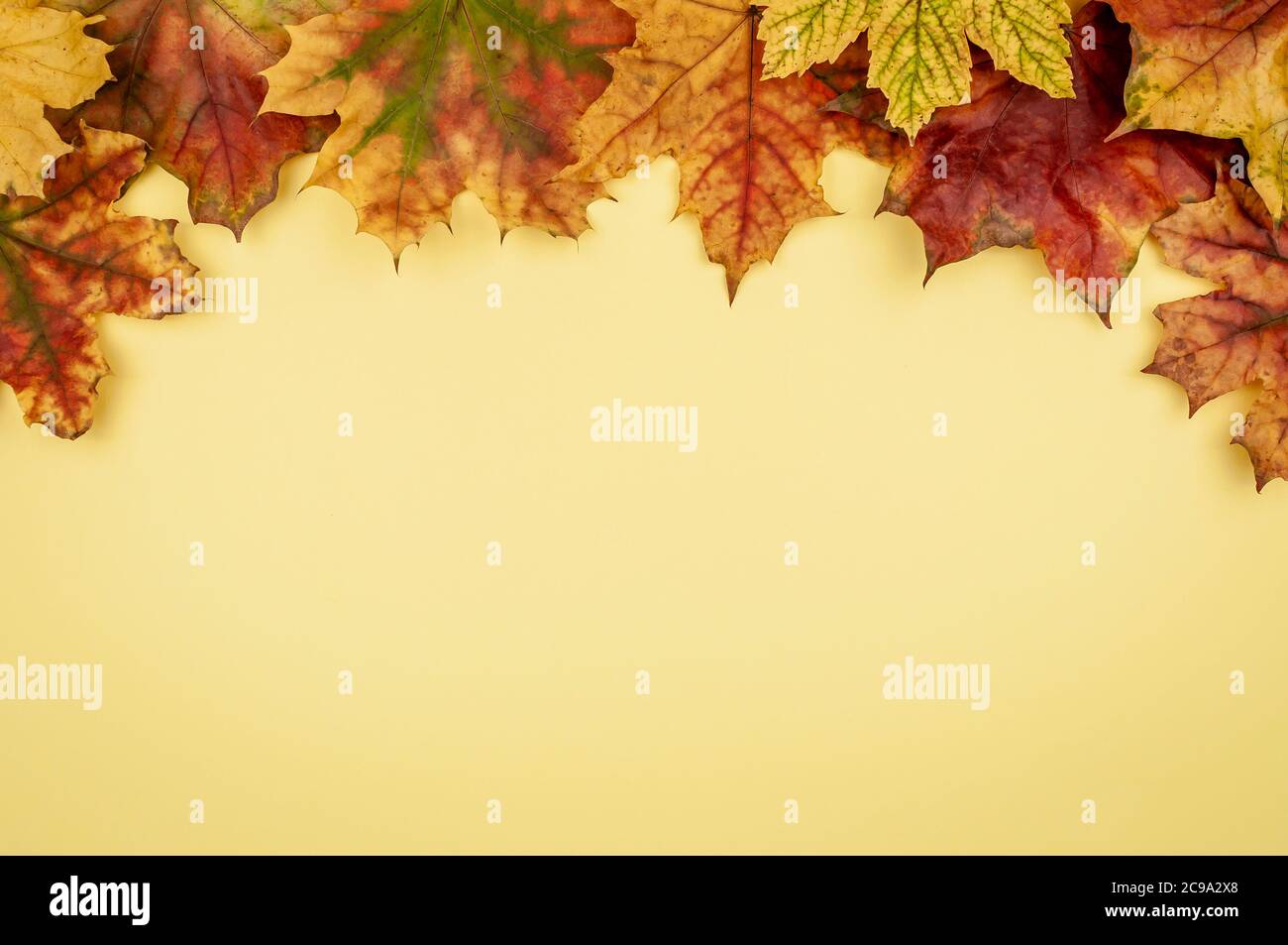 Autumn leaves on a yellow background Stock Photo - Alamy