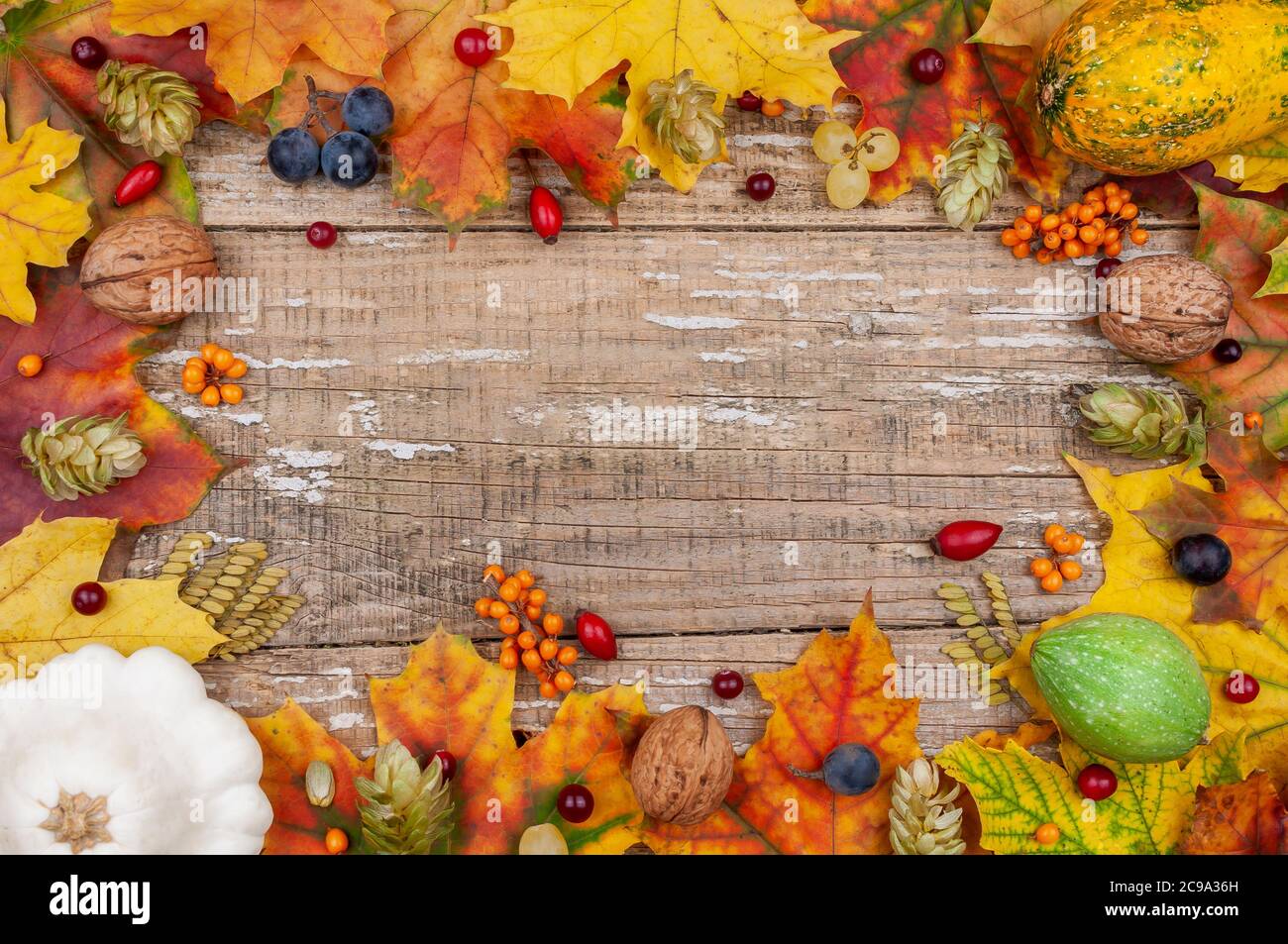 Autumn leaves, pumpkins, berries, nuts and hops Stock Photo - Alamy