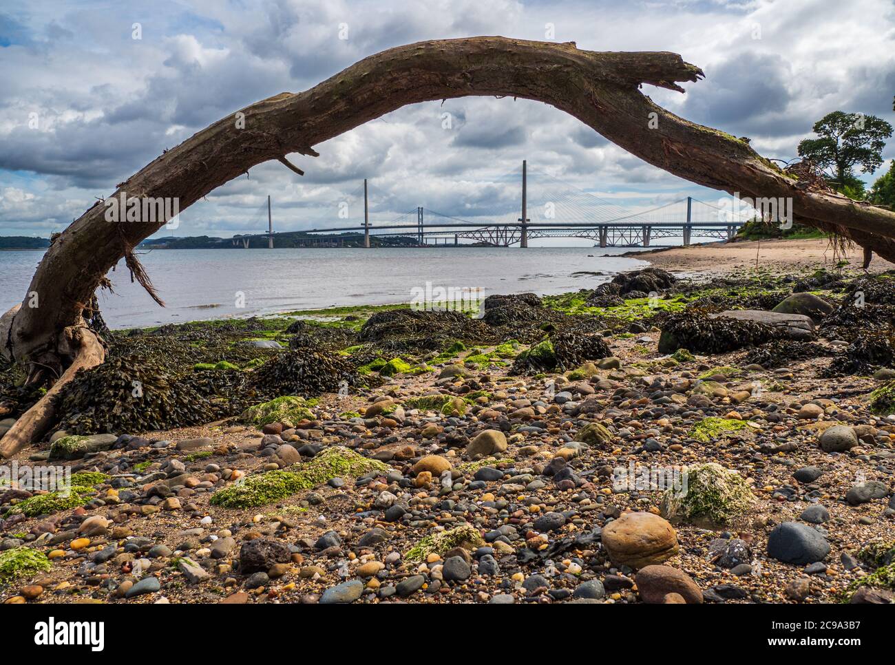 The three Forth Bridges are an impressive sight as they across the ...