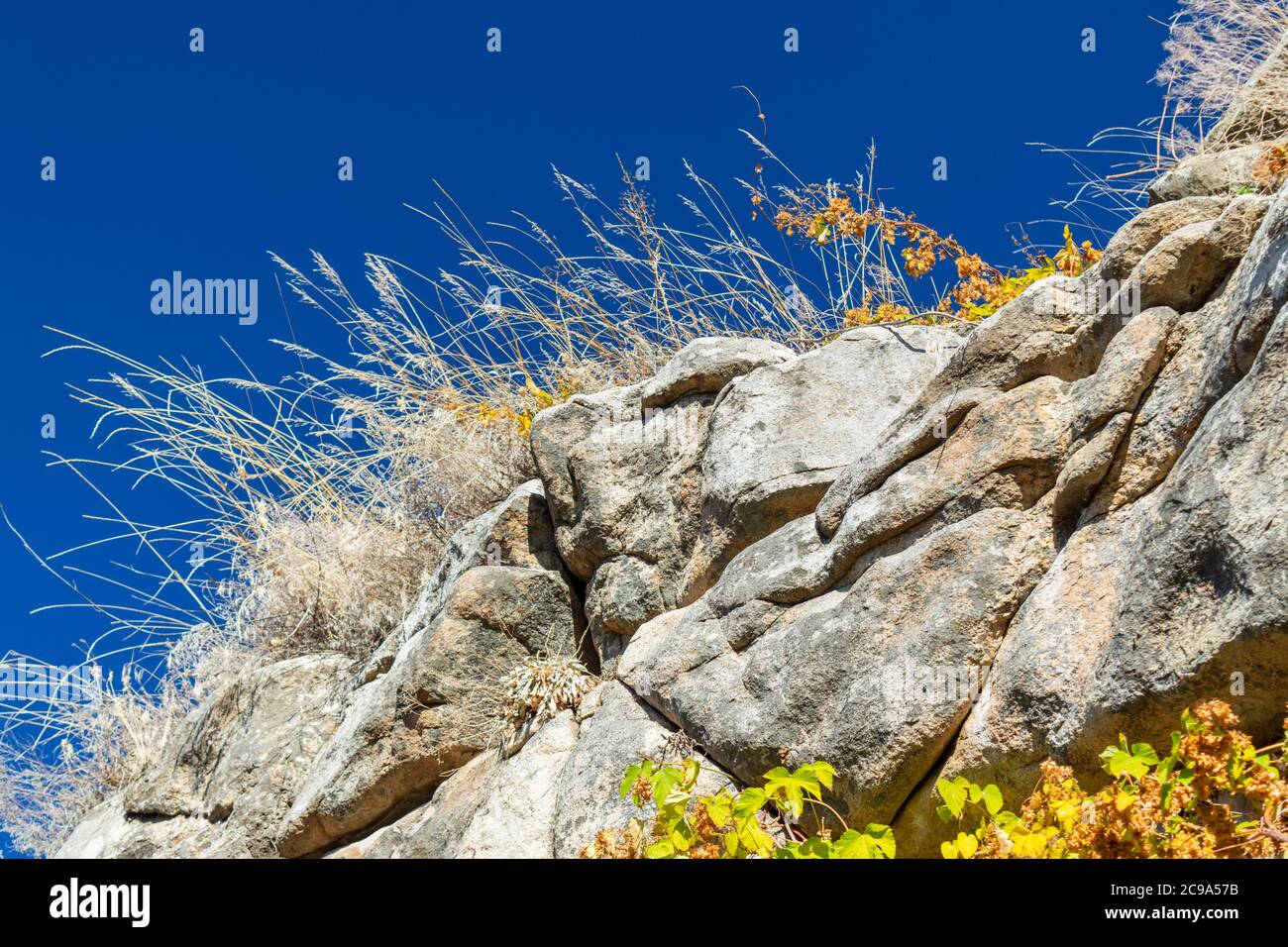Cliff top grass hi-res stock photography and images - Alamy