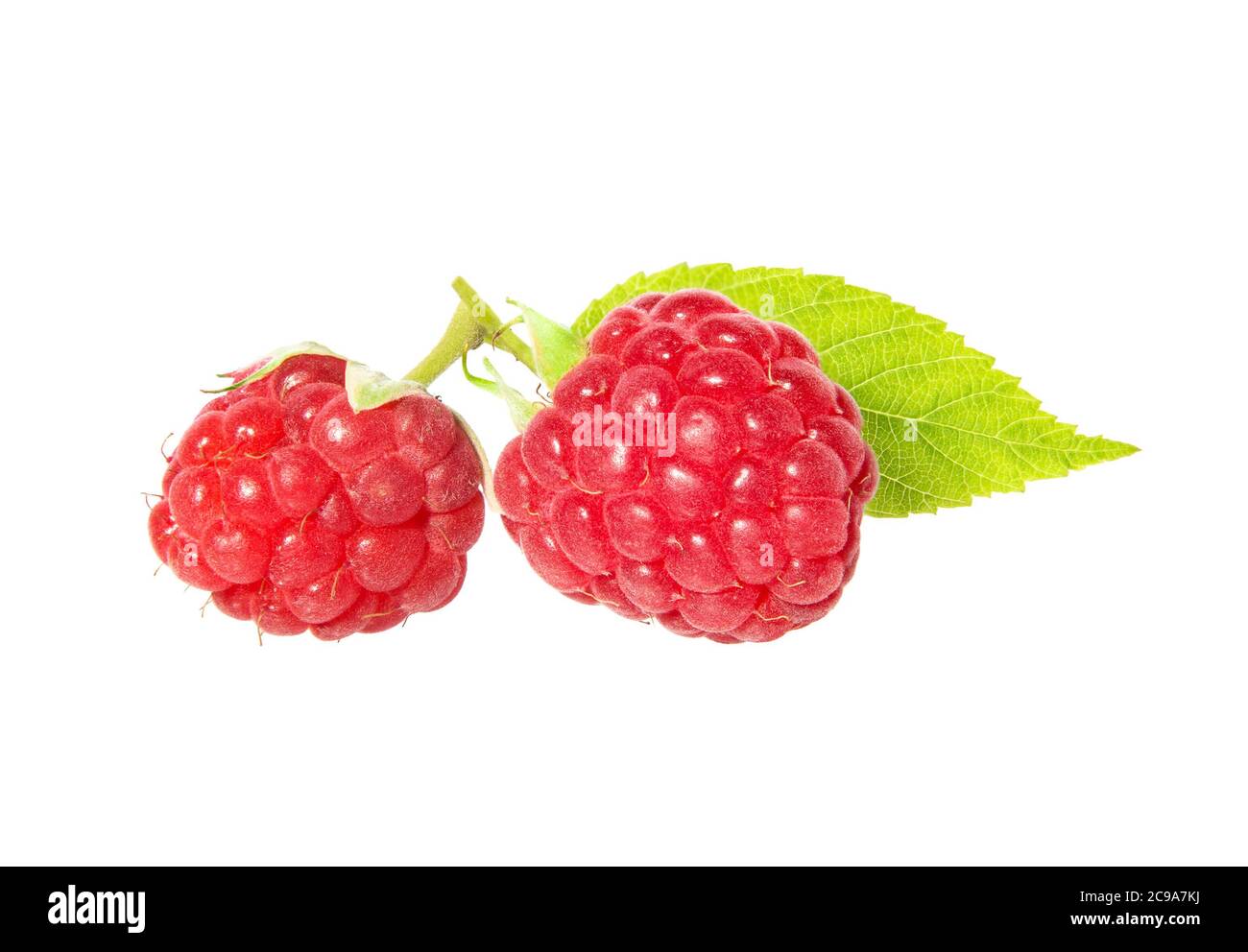 Raspberry with leaves isolated on white background. Ripe raspberries ...