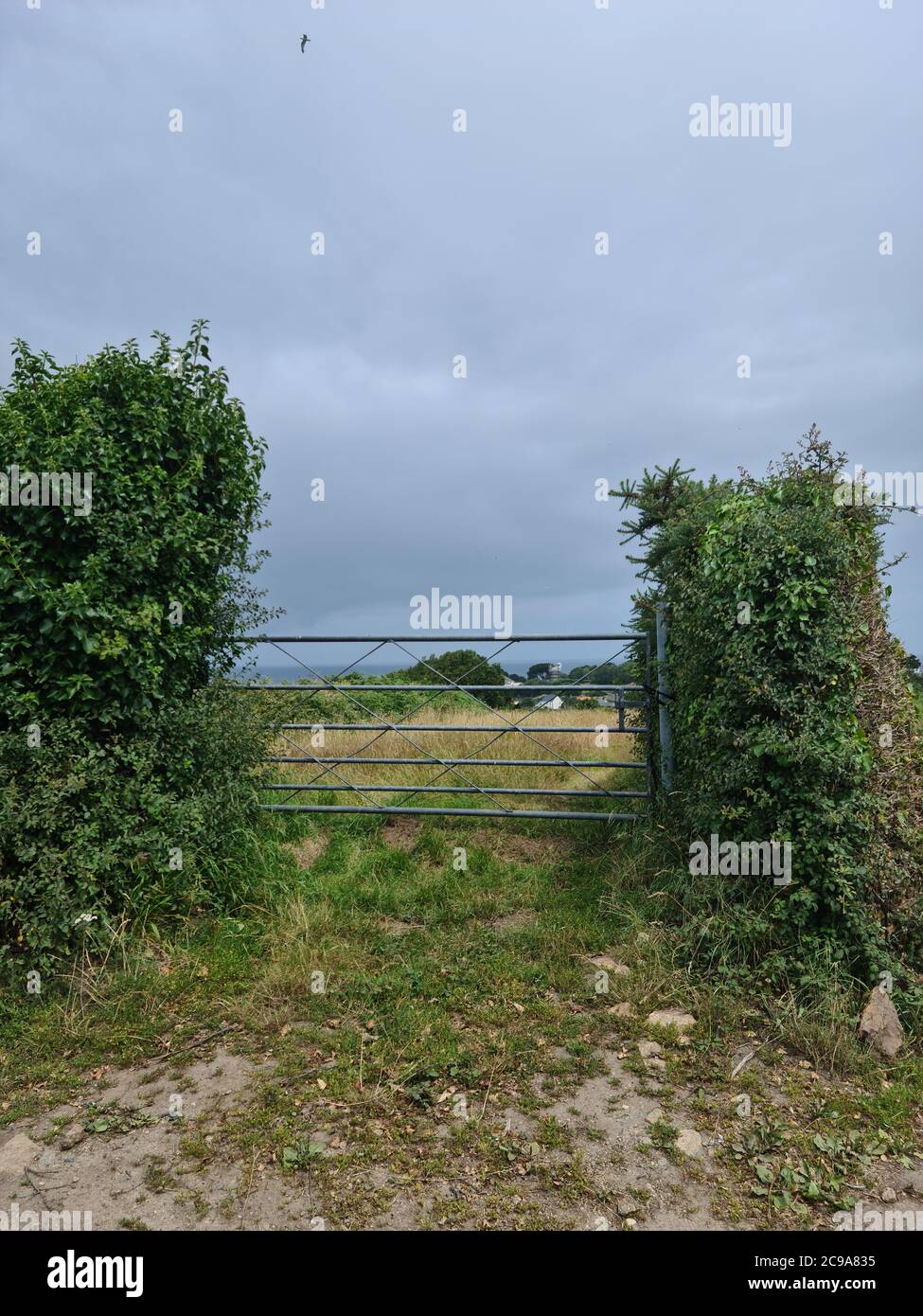 St Saviour Field Gate, Guernsey Channel Islands Stock Photo - Alamy
