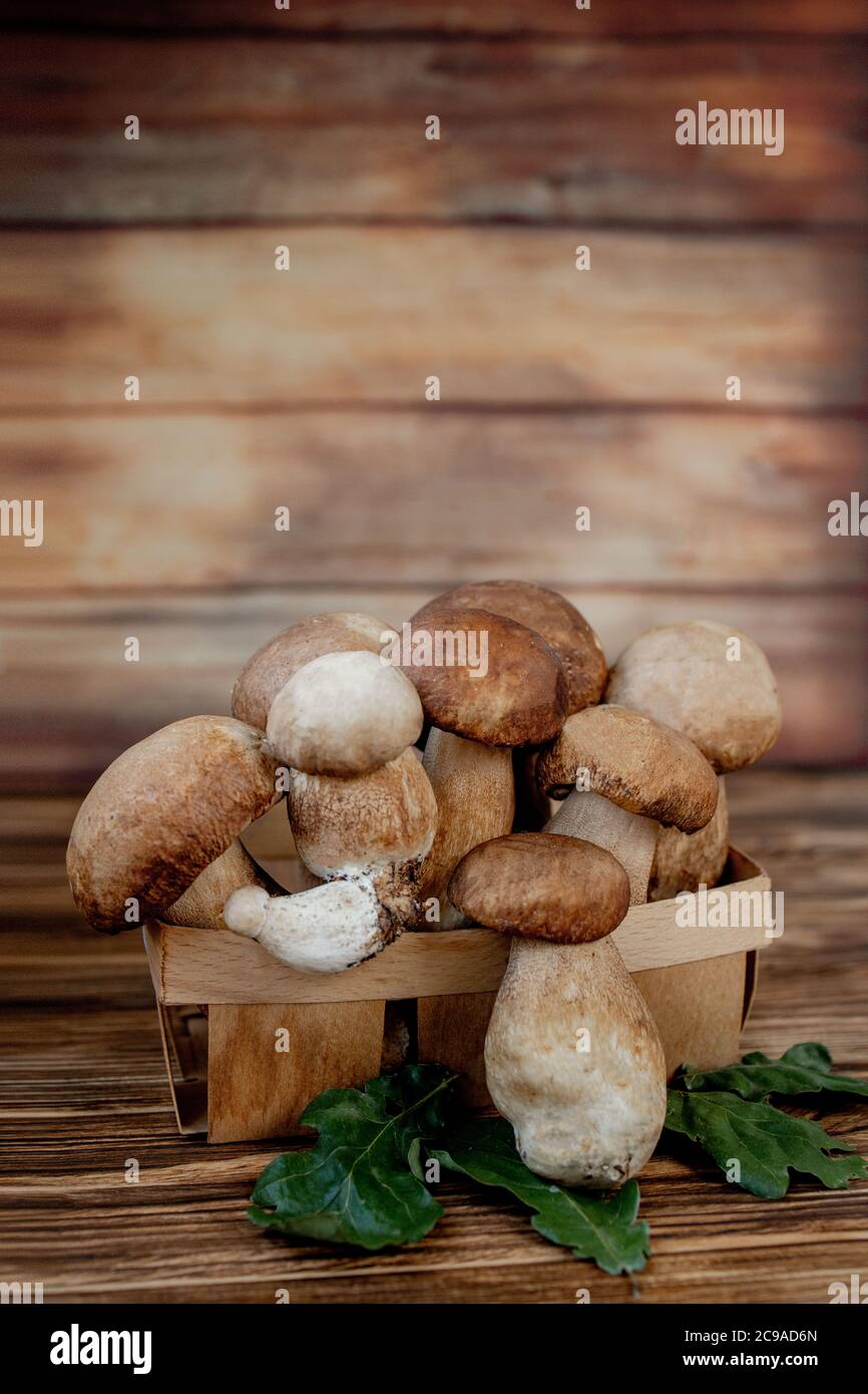 Mushroom Boletus over Wooden Background. Autumn Cep Mushrooms. Ceps ...