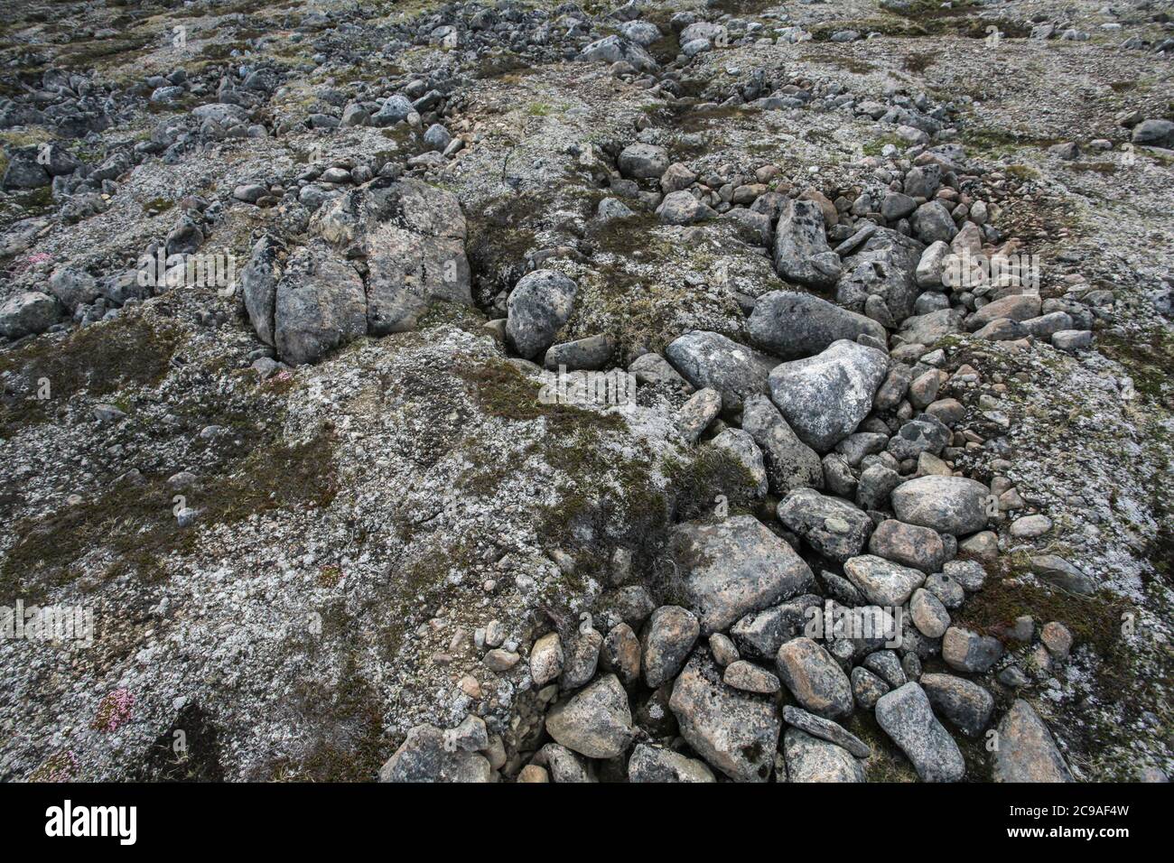 Kulusuk Island in Eastern Greenland Stock Photo - Alamy