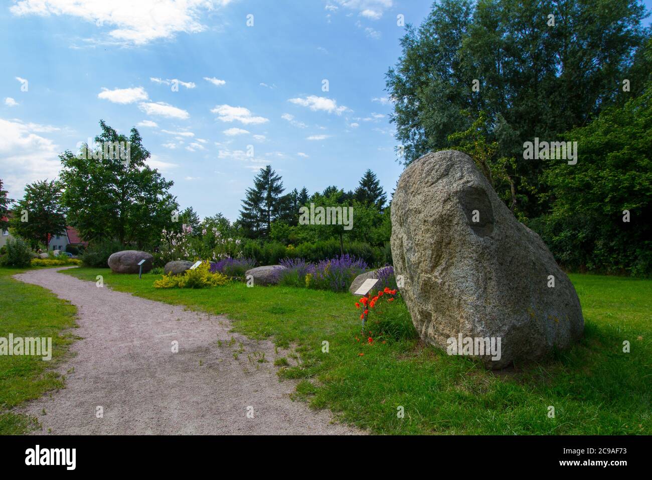 Sunny scenery of a narrow pathway in the nature Stock Photo - Alamy