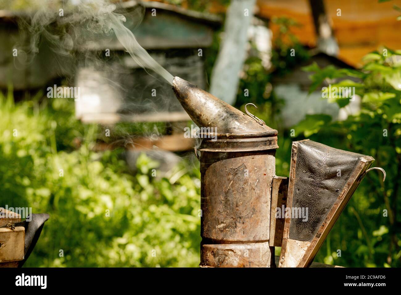 Beekeeper Smoker smokes white smoke. Beekeeping tool close up ...