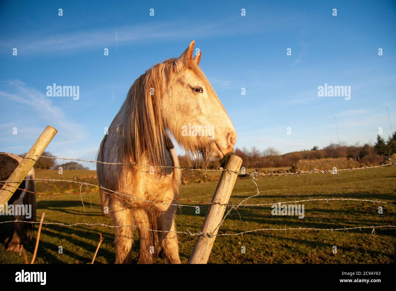 Turned sideways hi-res stock photography and images - Alamy
