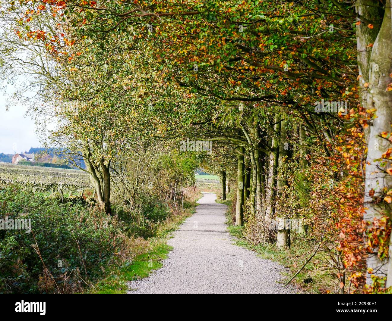 Walls divided hi-res stock photography and images - Alamy