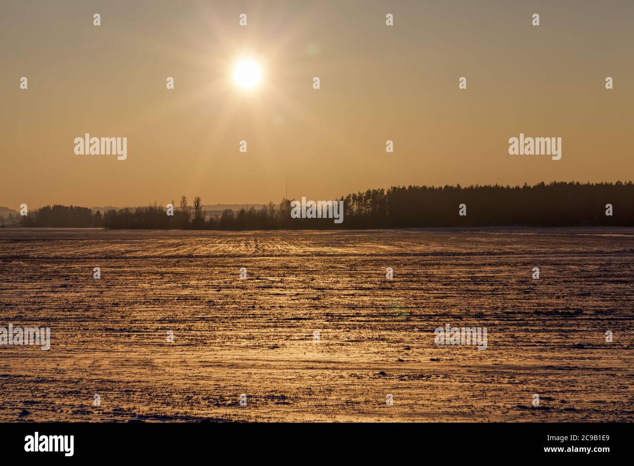 landscape in nature during sunset Stock Photo - Alamy