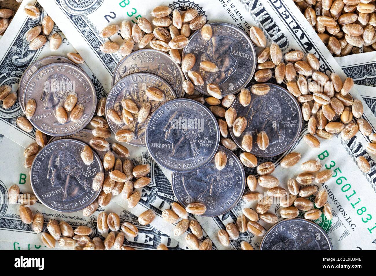 one us dollar paper money Stock Photo - Alamy