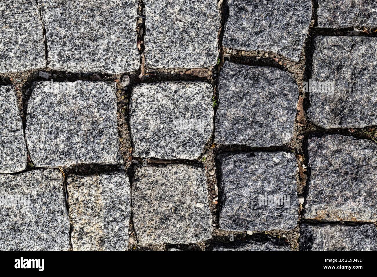 a road made of concrete tiles for pedestrian Stock Photo - Alamy
